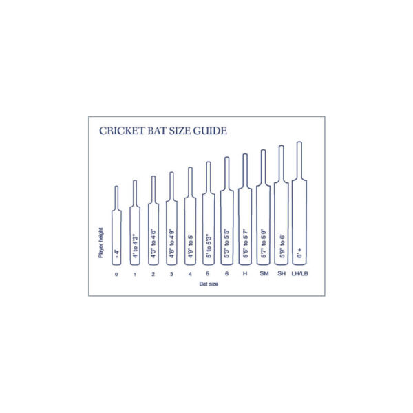 Cricket Bat Kashmir Willow SS WHITE EDITION GOLD - Sports Center